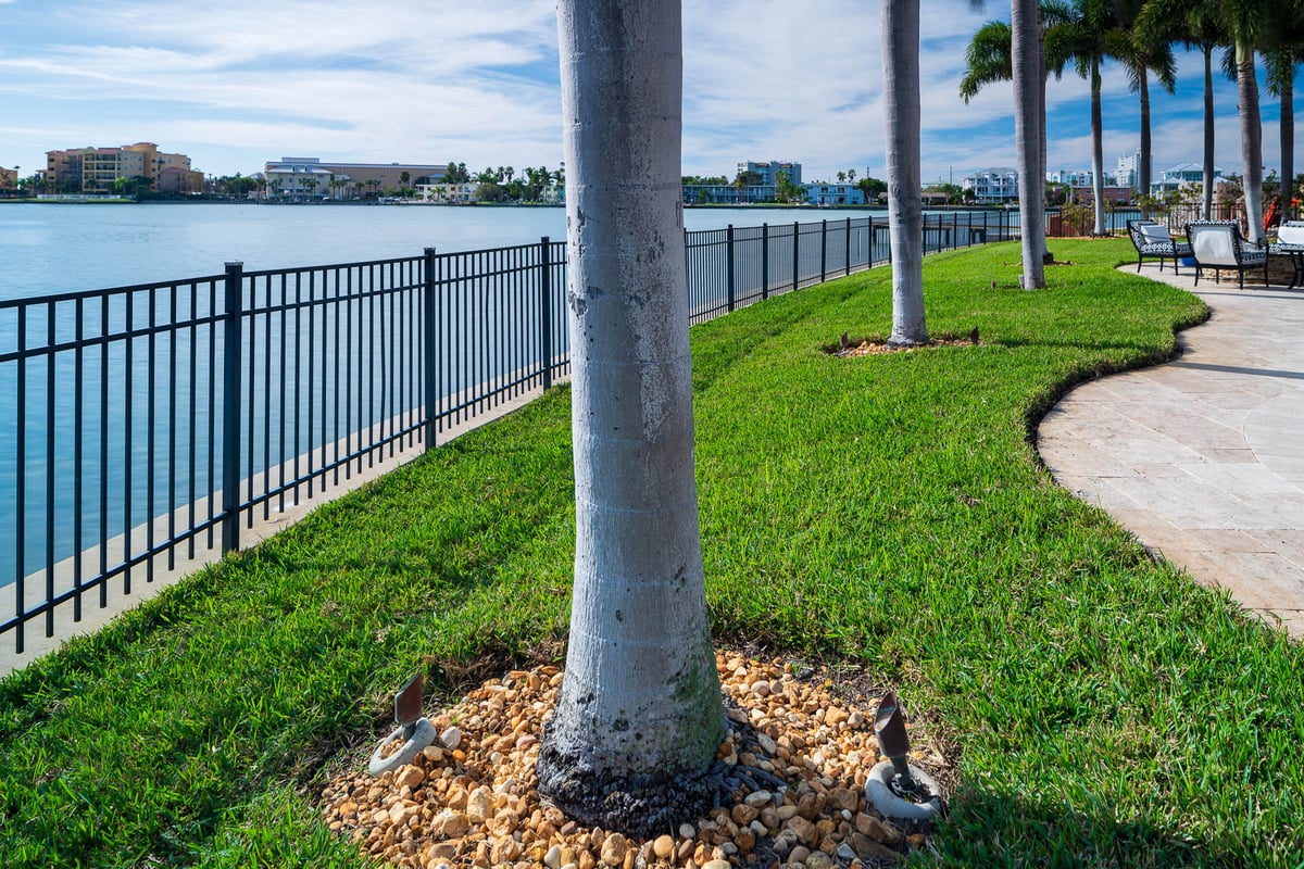 The Top 4 Types of Grass You Need to Consider For Florida Lawns